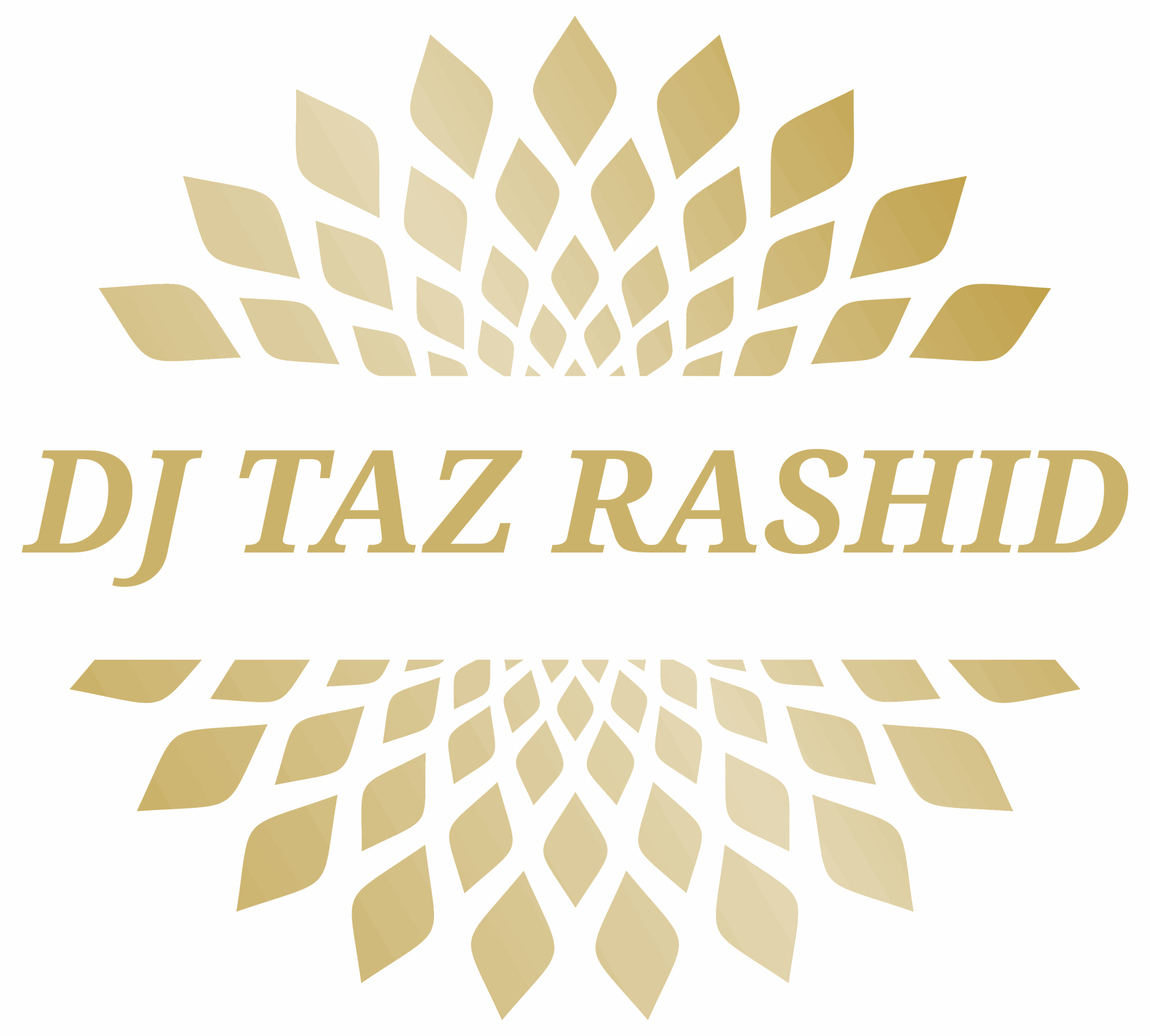 Ignite Your Soul ~ Sedona Immersion w/ DJ Taz Rashid, Biana Mavasheva ...